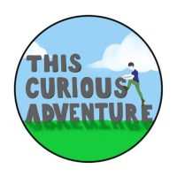 Top 10 Posts – This Curious Adventure